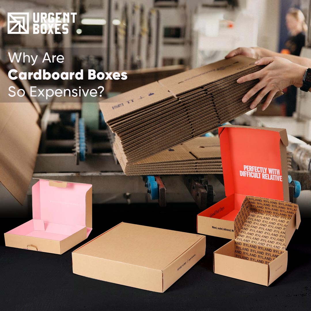 Why Are Cardboard Boxes So Expensive? Explained Simply